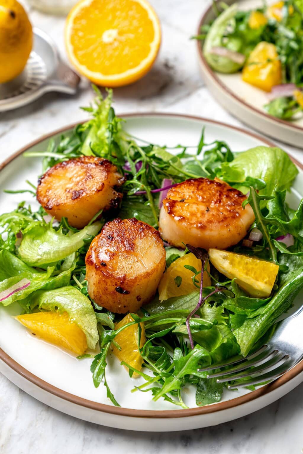 Pan Seared Scallop Salad With Citrus Vinaigrette – Seafood Grocer