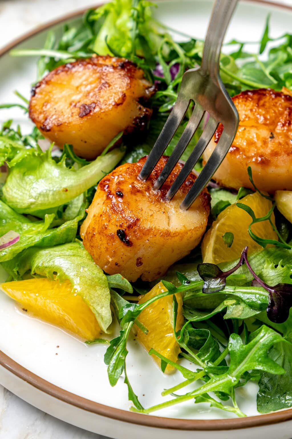 Pan Seared Scallop Salad With Citrus Vinaigrette – Seafood Grocer
