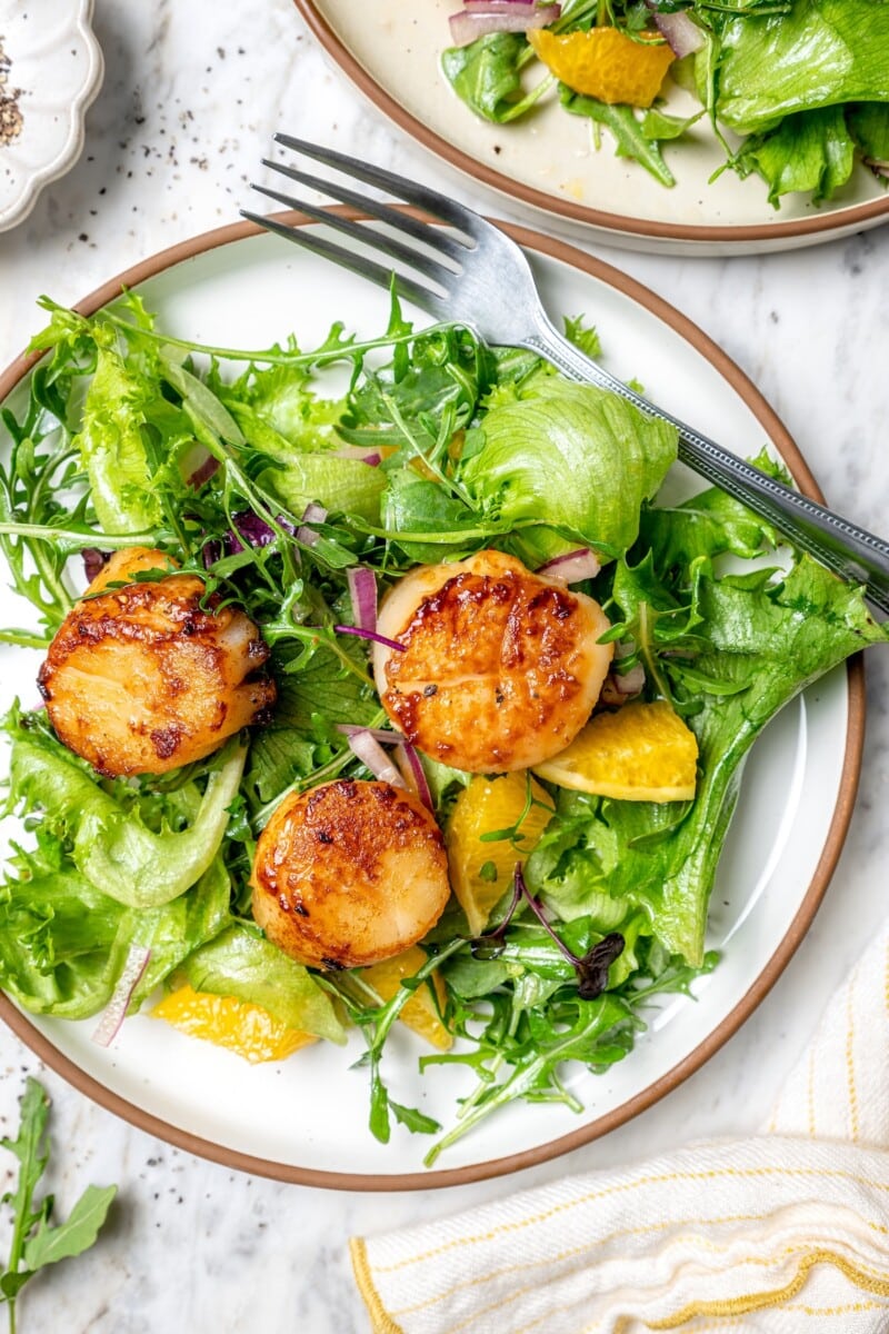 Pan Seared Scallops - Recipe Chronicle