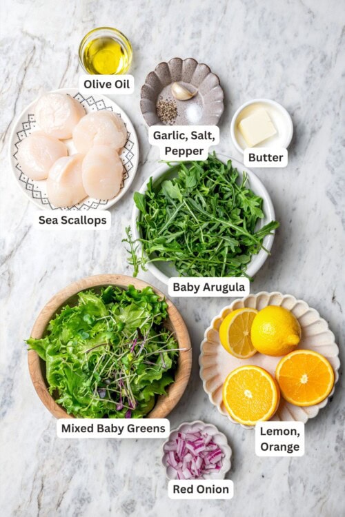Pan Seared Scallop Salad With Citrus Vinaigrette – Seafood Grocer