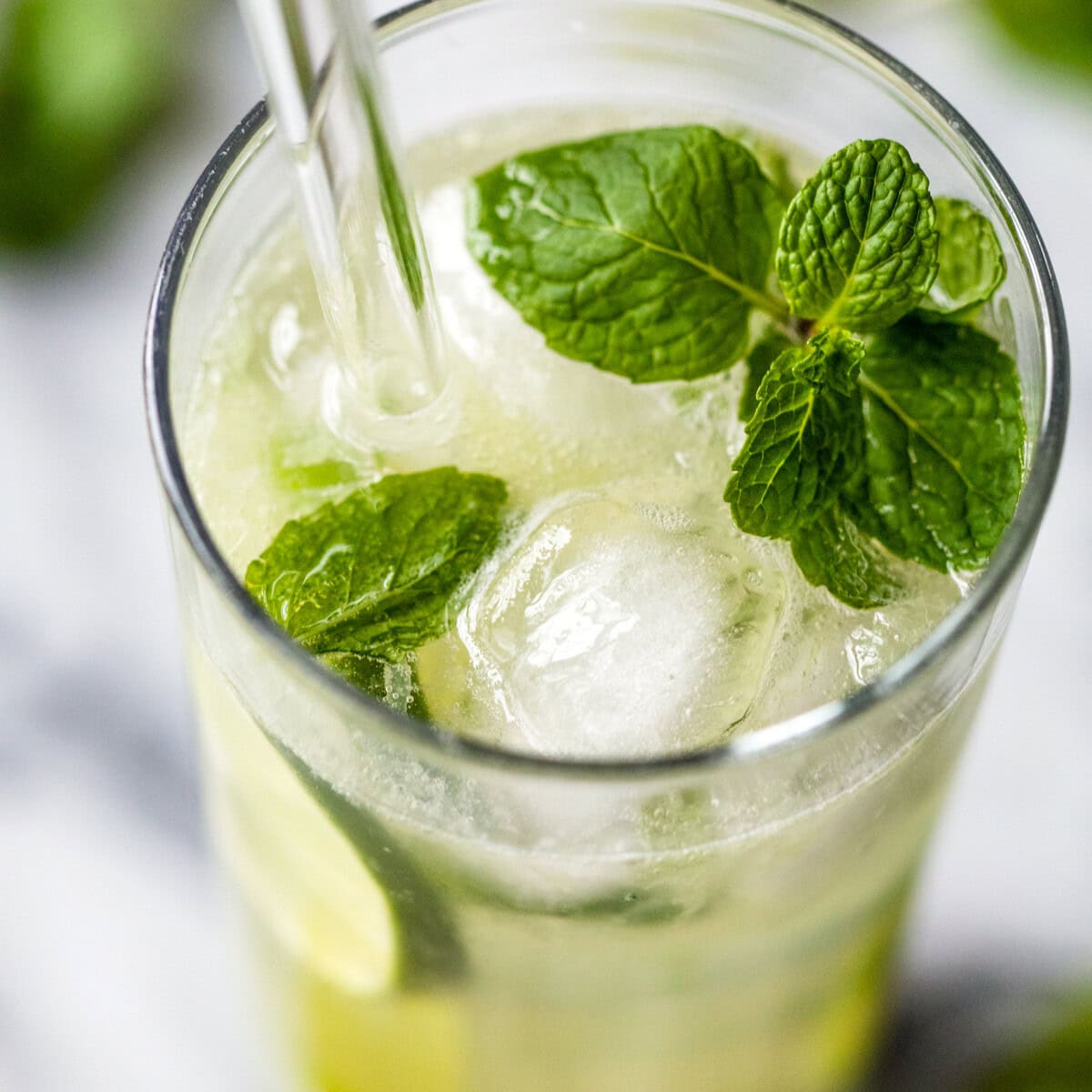 Virgin Mojito (Nojito) - Skinnytaste