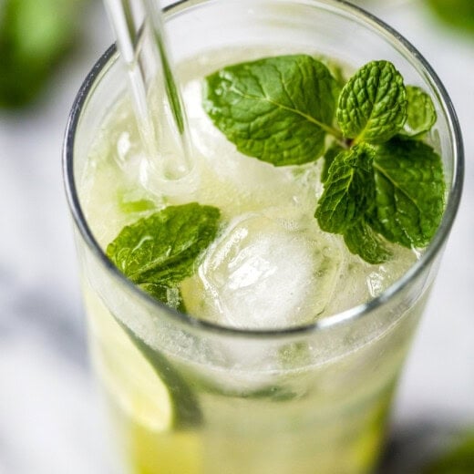 Virgin Mojito (Nojito) - Skinnytaste