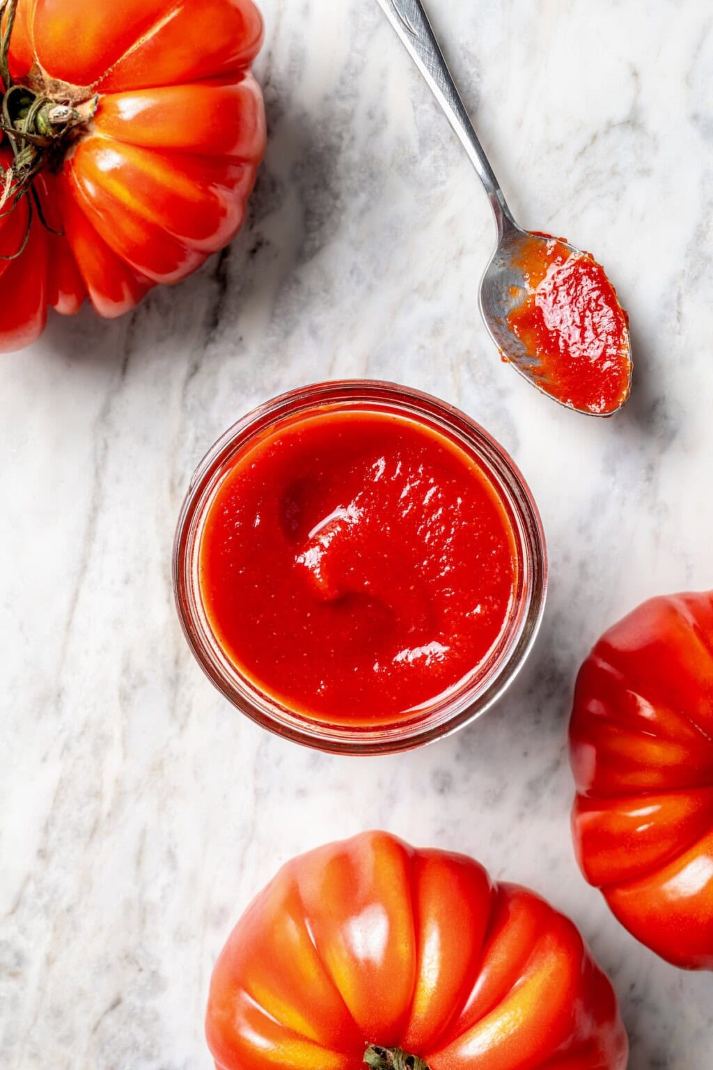 Homemade Ketchup Recipe | Skinnytaste