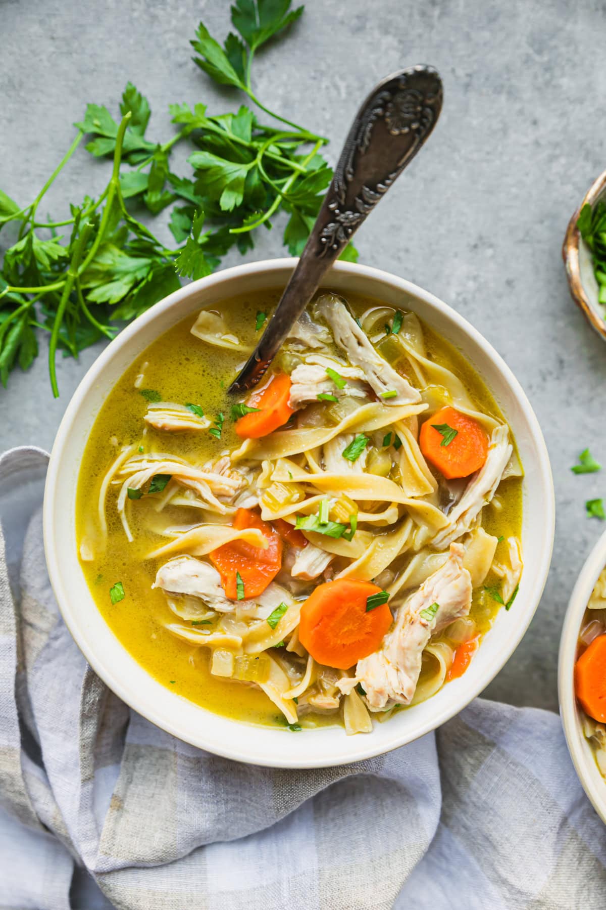 Chicken Noodle Soup (Easy) - Skinnytaste - Tastyfactory