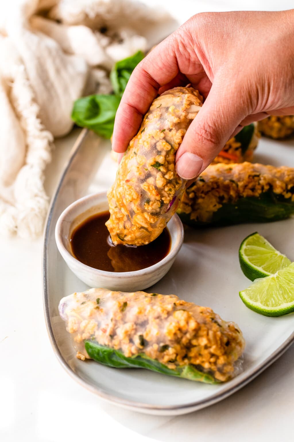 Chicken Summer Rolls - Skinnytaste
