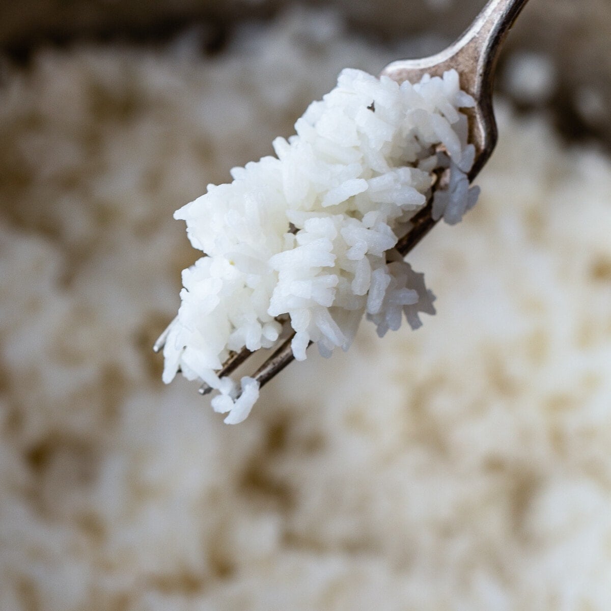 Instant Pot Rice (Perfect Every Time) - Skinnytaste