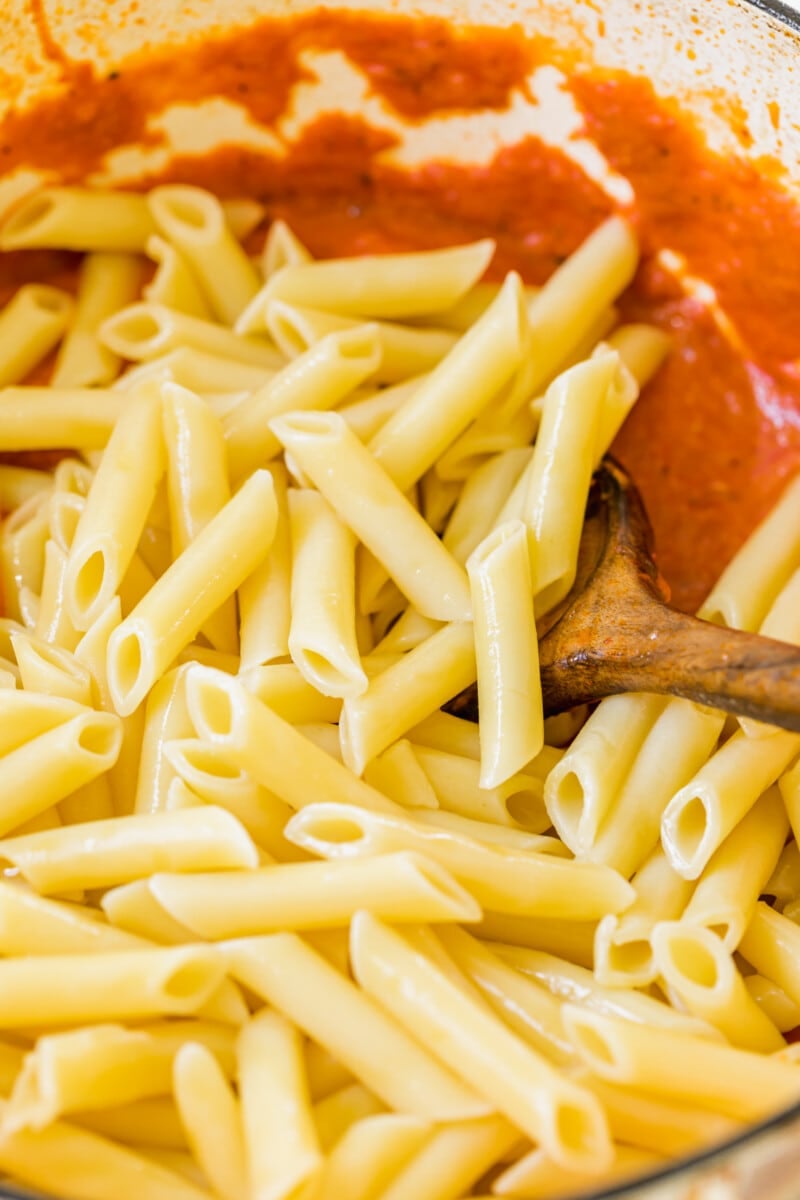 Penne alla Vodka with Chicken (Healthy & High Protein) - Skinnytaste