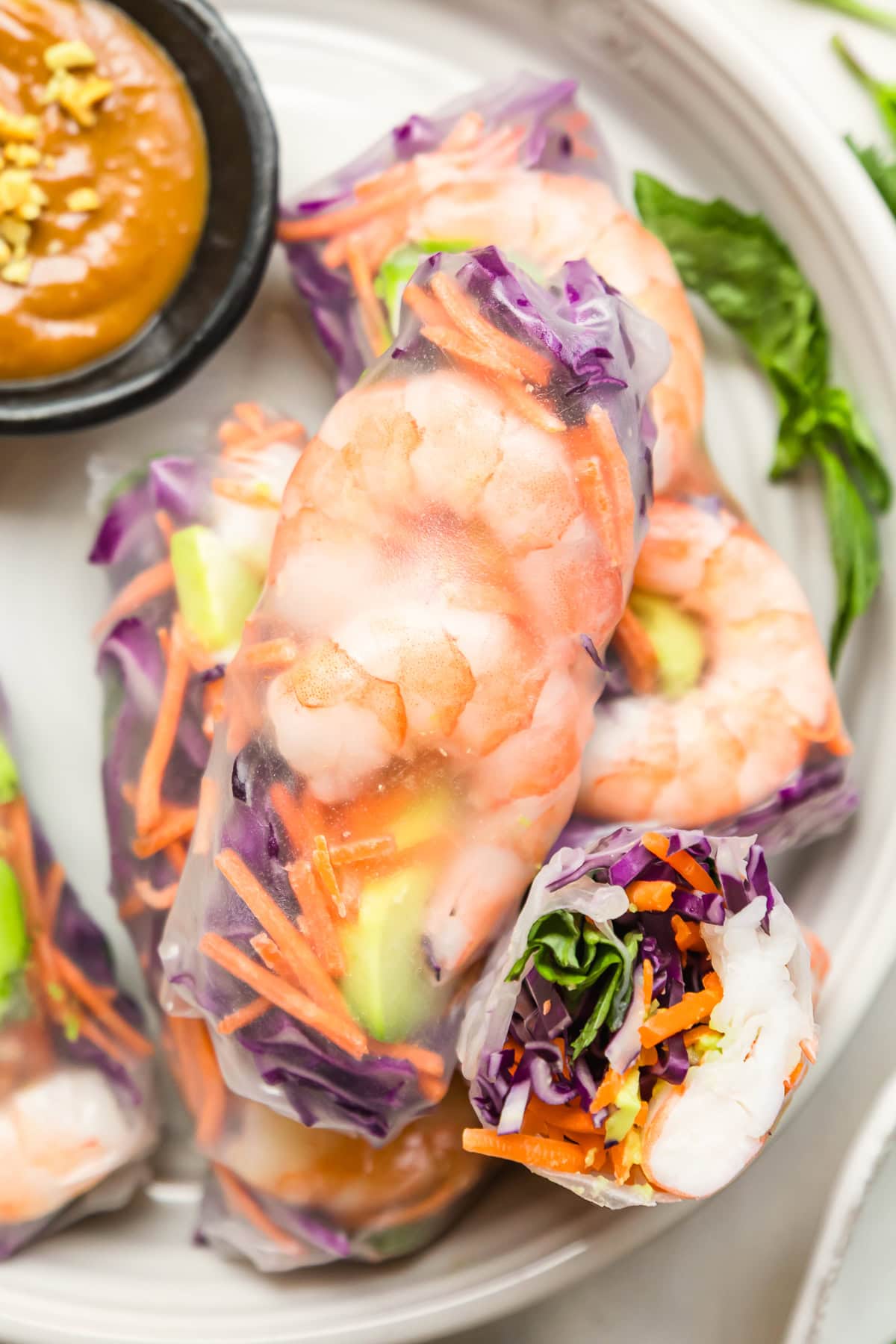 Summer Rolls with Shrimp and Peanut Hoisin Sauce – Nature's Gateway