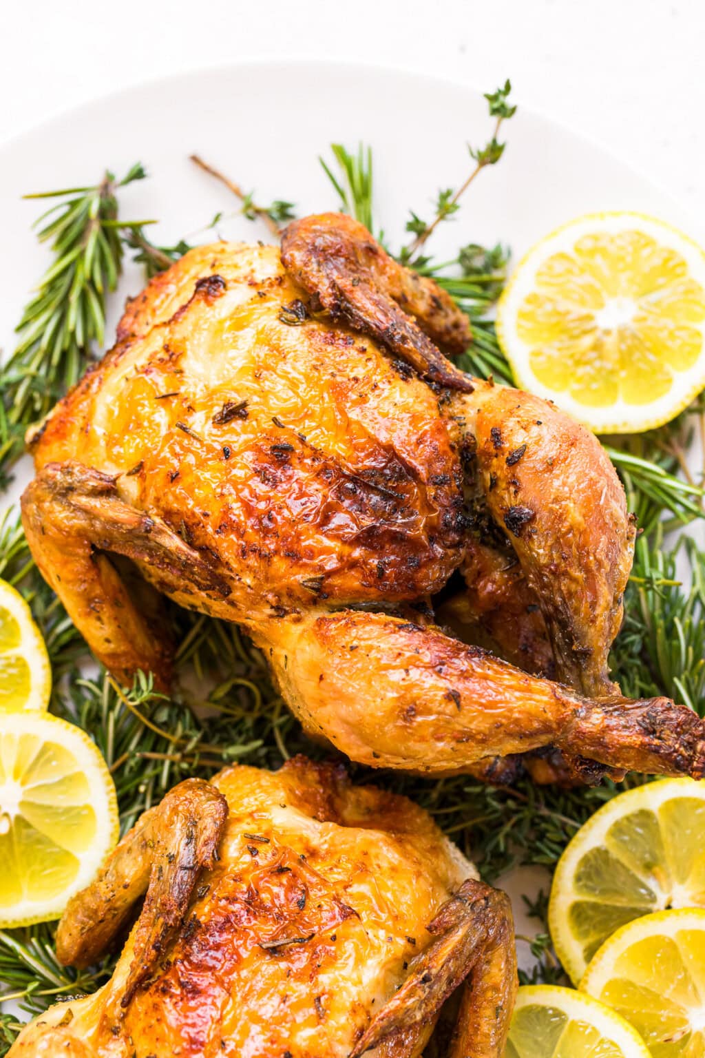 Air Fryer Recipes | Best Easy Recipes for Beginners - Skinnytaste