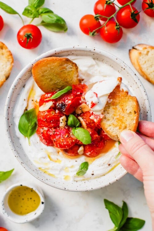 Party Food Ideas - The Best Party Appetizer Recipes!