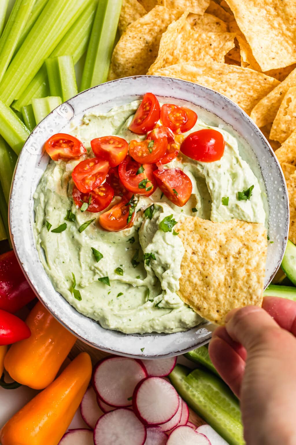 Whipped Avocado Cottage Cheese Dip - Skinnytaste